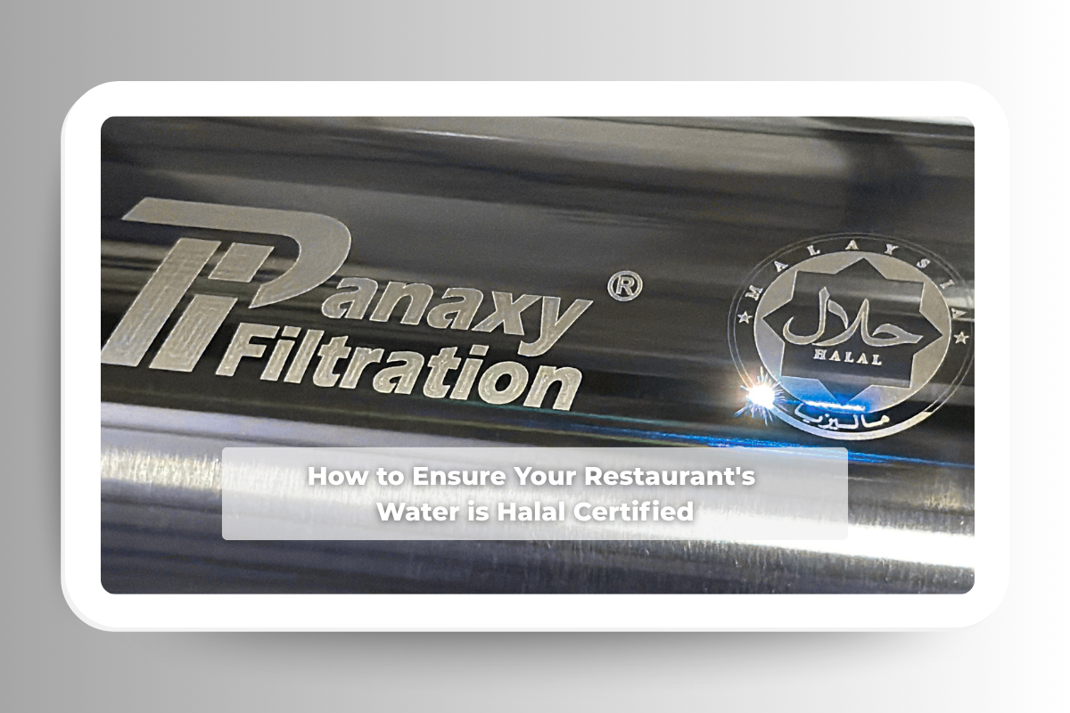 How to Ensure Your Restaurant's Water is Halal Certified – Panaxy Global