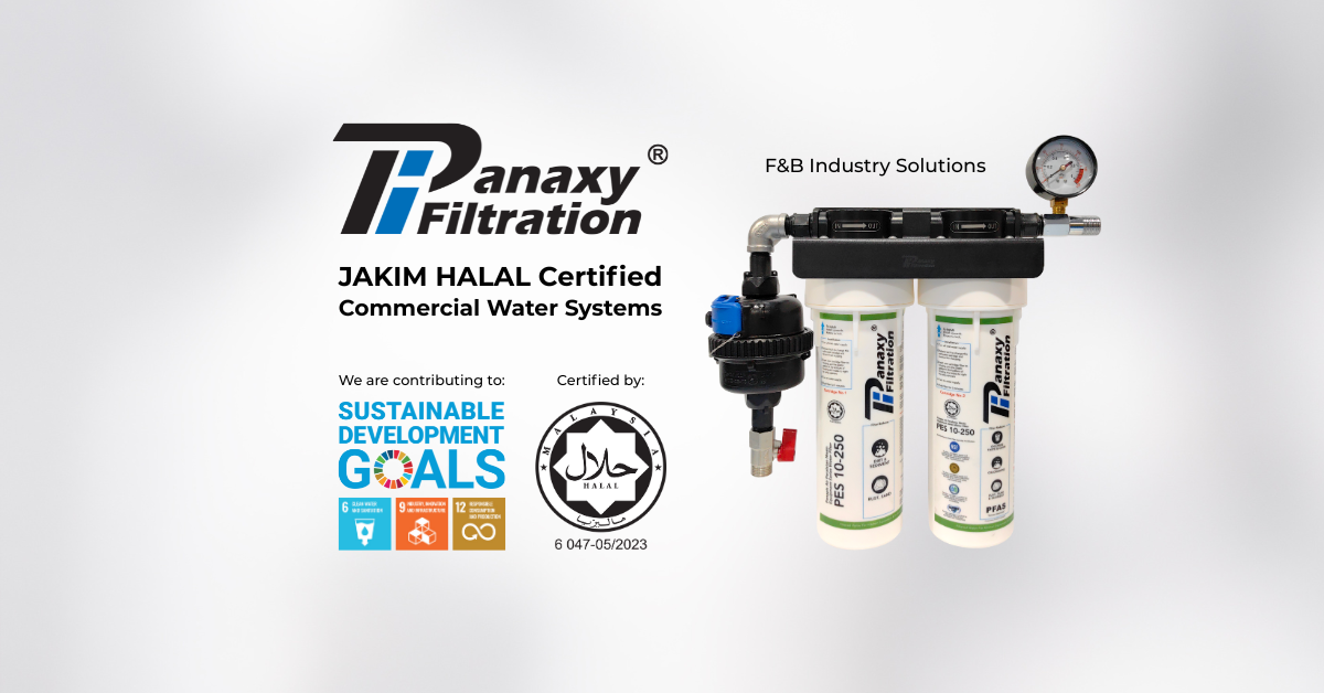 About Us – Panaxy Global